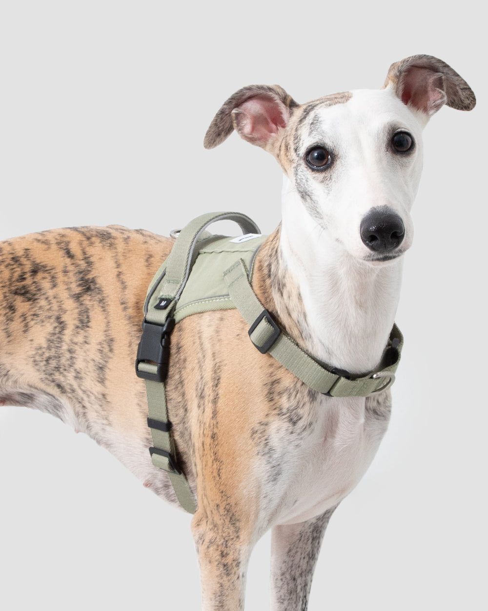 Anti-Pull Quick-Fit Dog Harness | Comfortable Vest-Style Control – MAYA